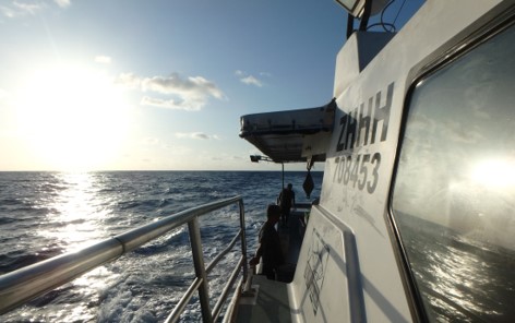 Pelagic stereo-BRUVs • Pelagic stereo-BRUVs Field Manual